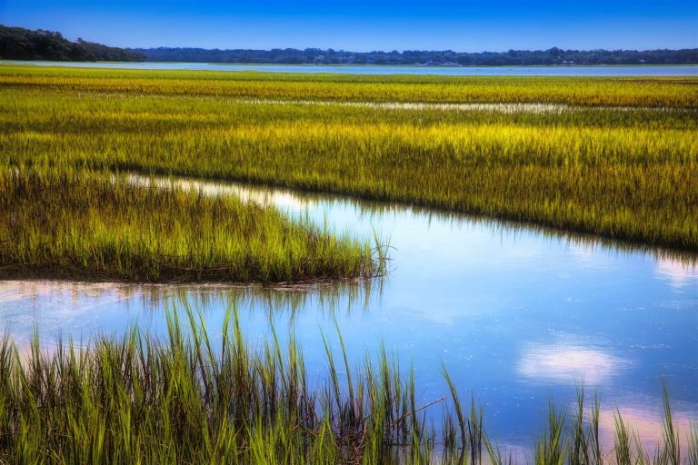 LowCountry marsh photography - John McManus Photography