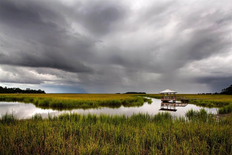 LowCountry marsh photography - John McManus Photography
