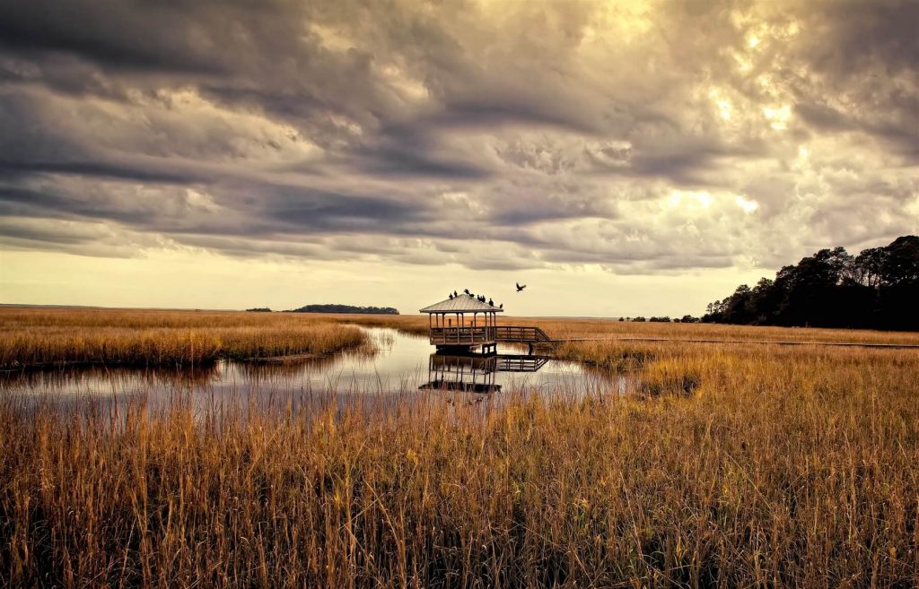 LowCountry marsh photography - John McManus Photography