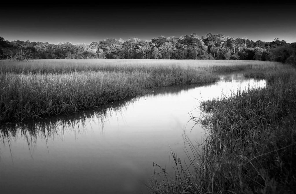 Black and white LowCountry marsh - John McManus Photography