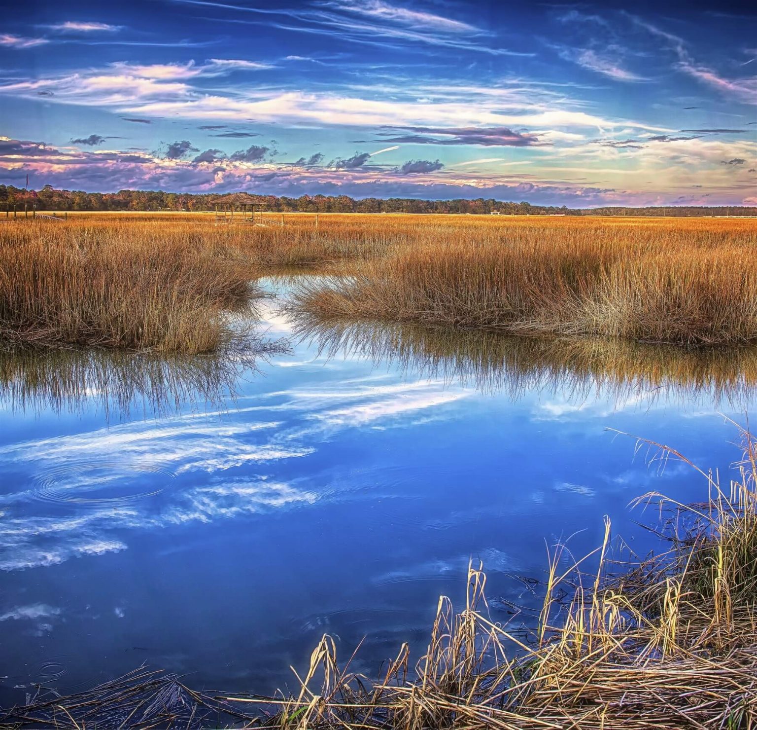 LowCountry marsh photography - John McManus Photography